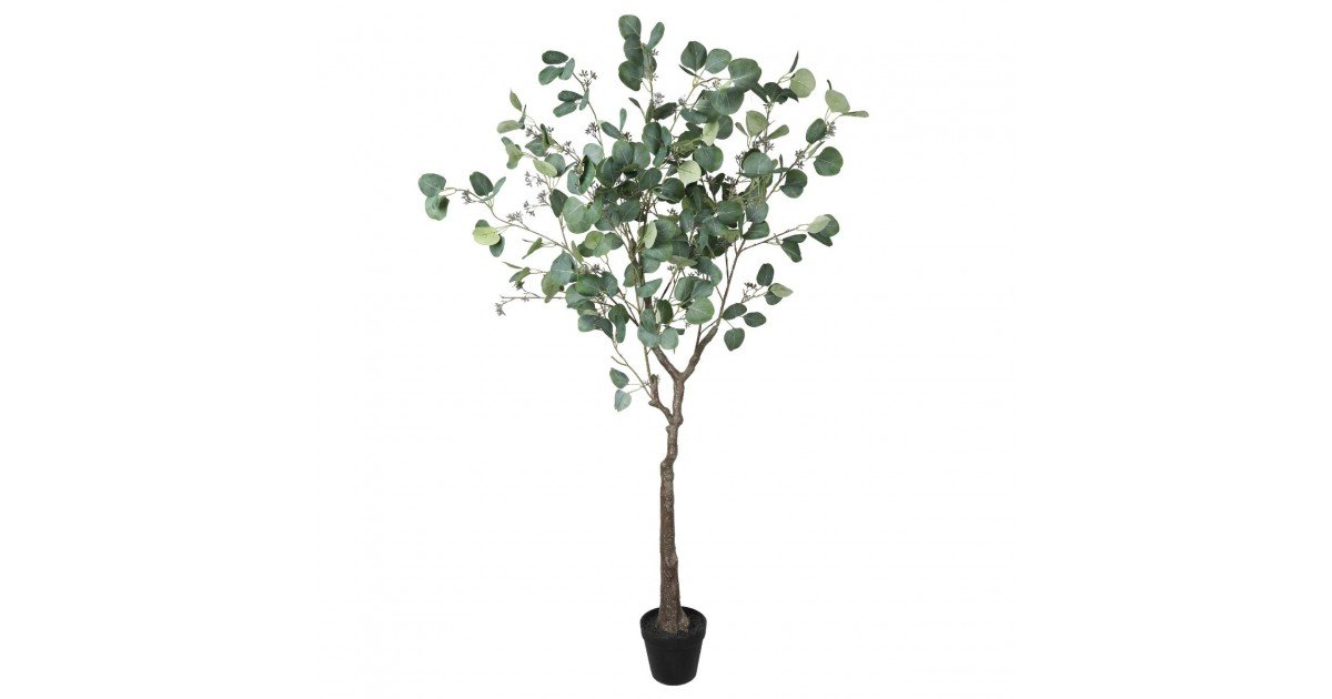 Shop Artificial Eucalyptus Tree (Red Box Eucalyptus Polyanthemos) 150cm ...