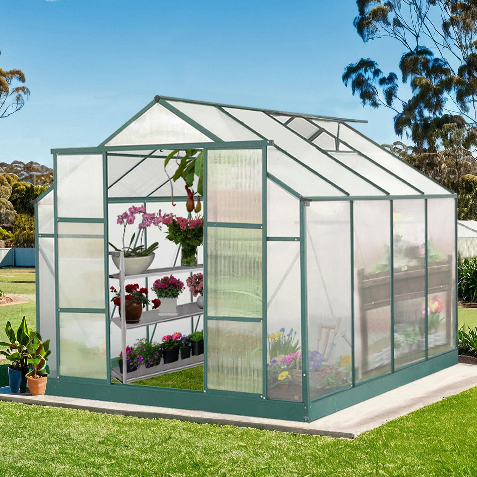 Shop Eco Pro Greenhouse 32 x 8ft - 6mm Panels Online