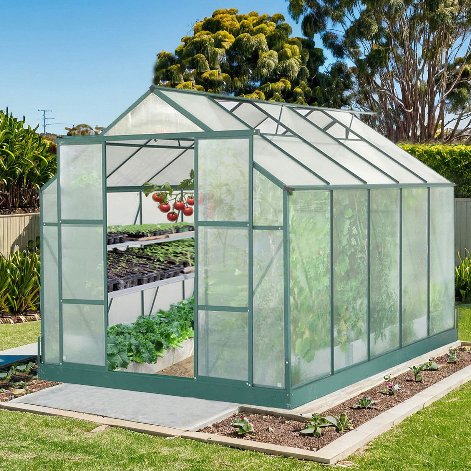 Shop Eco Pro Greenhouse 32 x 8ft - 6mm Panels Online